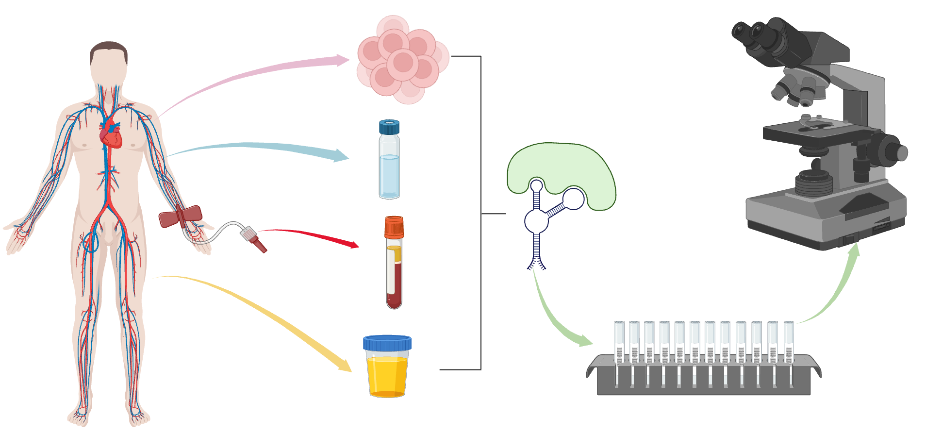 Ribocentre Aptamer - Applications