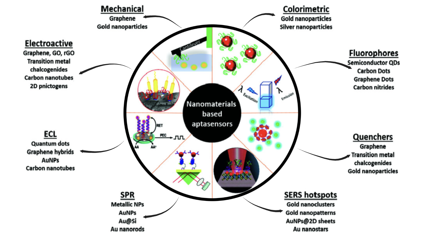 Ribocentre Aptamer - Applications